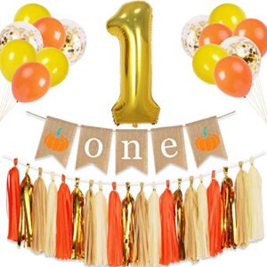 pumpkin 1st birthday banner autumn fall first party decoration highchair one orange yellow glitter gold balloon tissue paper tassel garland supplies