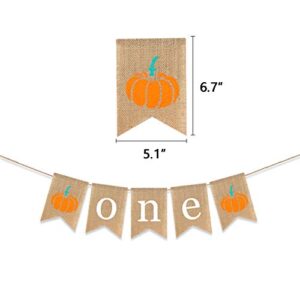 Pumpkin 1st Birthday Banner Autumn Fall First Party Decoration Highchair One Orange Yellow Glitter Gold Balloon Tissue Paper Tassel Garland Supplies