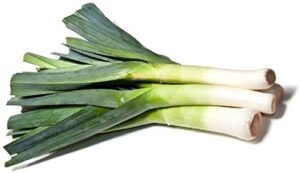 leek seed, american flag, non gmo, 100 seeds, heirloom crisp sweet flavor great tasting, perfect for soups, leak, leaks, leeks