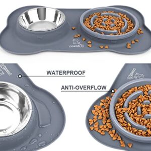 Pecute Dog Bowl Slow Feeder Bloat Stop Pet Bowl Eco-Friendly Non-Toxic No Choking Healthy Design Bowl with No-Spill Non-Skid Silicone Mat Stainless Steel Water Bowl for Dogs Cats and Pets