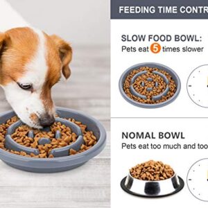 Pecute Dog Bowl Slow Feeder Bloat Stop Pet Bowl Eco-Friendly Non-Toxic No Choking Healthy Design Bowl with No-Spill Non-Skid Silicone Mat Stainless Steel Water Bowl for Dogs Cats and Pets