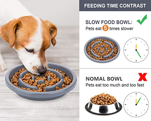 Pecute Dog Bowl Slow Feeder Bloat Stop Pet Bowl Eco-Friendly Non-Toxic No Choking Healthy Design Bowl with No-Spill Non-Skid Silicone Mat Stainless Steel Water Bowl for Dogs Cats and Pets