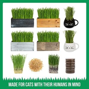 The Cat Ladies Cat Grass Kit (Organic) with Rustic Wood Planter, Seed and Soil. Easy to Grow for Indoor or Outdoor Cats, Dogs and Other Pets. Prevent Hairballs and Aid Digestion