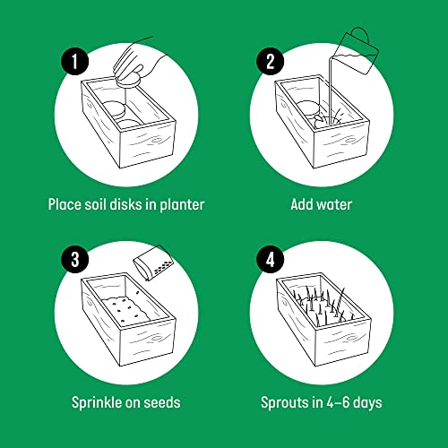 The Cat Ladies Cat Grass Kit (Organic) with Rustic Wood Planter, Seed and Soil. Easy to Grow for Indoor or Outdoor Cats, Dogs and Other Pets. Prevent Hairballs and Aid Digestion