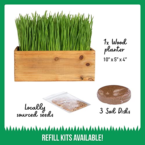 The Cat Ladies Cat Grass Kit (Organic) with Rustic Wood Planter, Seed and Soil. Easy to Grow for Indoor or Outdoor Cats, Dogs and Other Pets. Prevent Hairballs and Aid Digestion