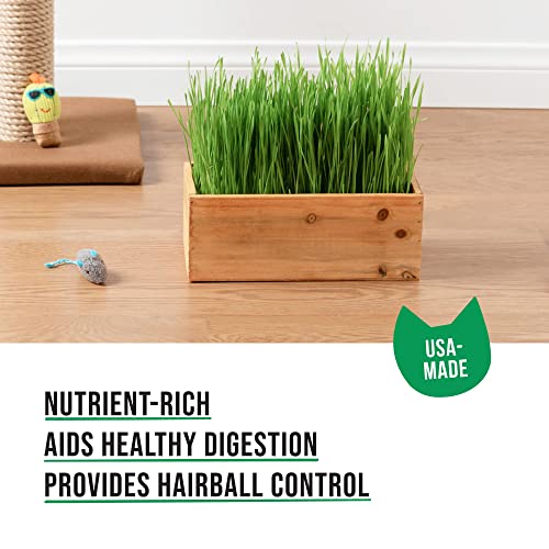 The Cat Ladies Cat Grass Kit (Organic) with Rustic Wood Planter, Seed and Soil. Easy to Grow for Indoor or Outdoor Cats, Dogs and Other Pets. Prevent Hairballs and Aid Digestion