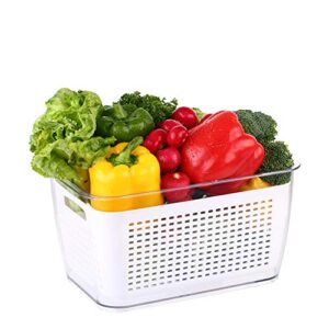 mrt produce saver storage containers - fresh vegetable fruit storage containers - fridge food storage containers - keep vegetables fresh easy to clean(white, 4.5 l)