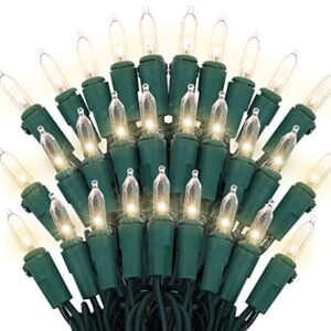 Holiday Time 300 LED String Lights Warm White Mini Lights 61 FT Long Plug in for Indoor Outdoor Christmas Tree Garden Wedding Party Decoration. (1, One Pack)