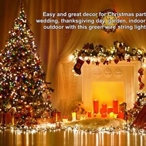 Holiday Time 300 LED String Lights Warm White Mini Lights 61 FT Long Plug in for Indoor Outdoor Christmas Tree Garden Wedding Party Decoration. (1, One Pack)