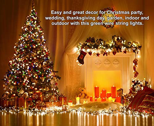 Holiday Time 300 LED String Lights Warm White Mini Lights 61 FT Long Plug in for Indoor Outdoor Christmas Tree Garden Wedding Party Decoration. (1, One Pack)