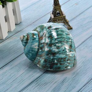 Wixine 1Pcs 10cm Green Turbo Natural Rare Real Sea Shell Conch Stunning Healing Decor Ocean