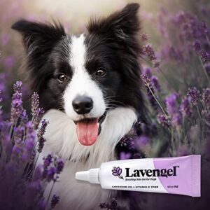 Lavengel Dog Skin Care Gel - Highly Concentrated Ointment Helps Relieve Itchy Skin and Heals Wounds Naturally, First-Aid for Skin Irritations, Hotspots, Sores, and Acne, We Support Rescues