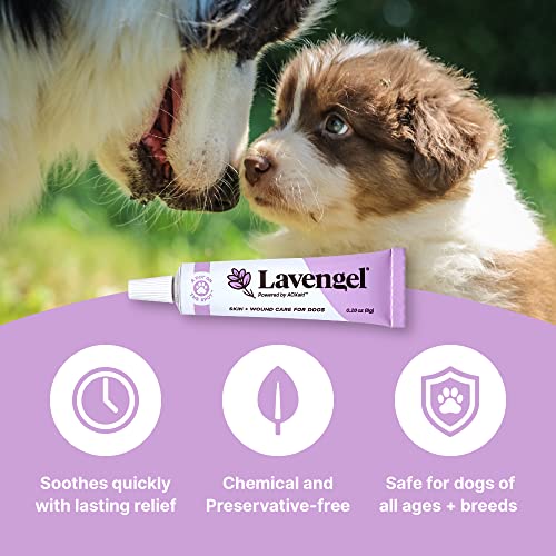 Lavengel Dog Skin Care Gel - Highly Concentrated Ointment Helps Relieve Itchy Skin and Heals Wounds Naturally, First-Aid for Skin Irritations, Hotspots, Sores, and Acne, We Support Rescues