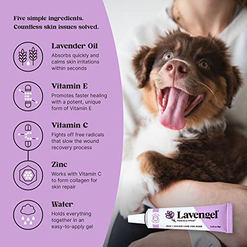 Lavengel Dog Skin Care Gel - Highly Concentrated Ointment Helps Relieve Itchy Skin and Heals Wounds Naturally, First-Aid for Skin Irritations, Hotspots, Sores, and Acne, We Support Rescues