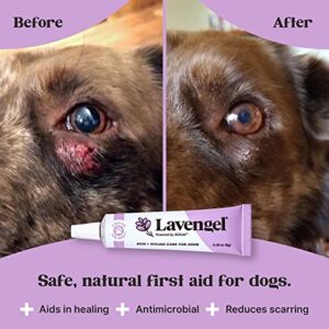 Lavengel Dog Skin Care Gel - Highly Concentrated Ointment Helps Relieve Itchy Skin and Heals Wounds Naturally, First-Aid for Skin Irritations, Hotspots, Sores, and Acne, We Support Rescues