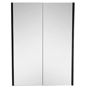 Fine Fixtures Vdara 24" Medicine Cabinets, Black