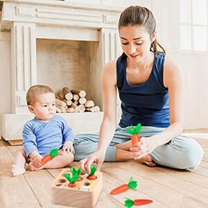 AOJOYS Montessori Toys Carrot Harvest Game Toys for Baby Toddlers 1-3 Years Old, Educational Wooden Carrot Toys Shape Size Sorting Matching Puzzle, Great Baby Easter Toys Birthday Gift Toys