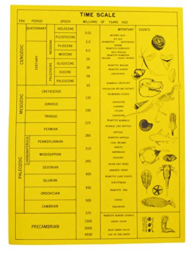 EISCO 12 Piece Deluxe Fossil Collection - Includes 12 Samples, Information Cards and a Geological Timescale - Great for Introductory Fossil Study