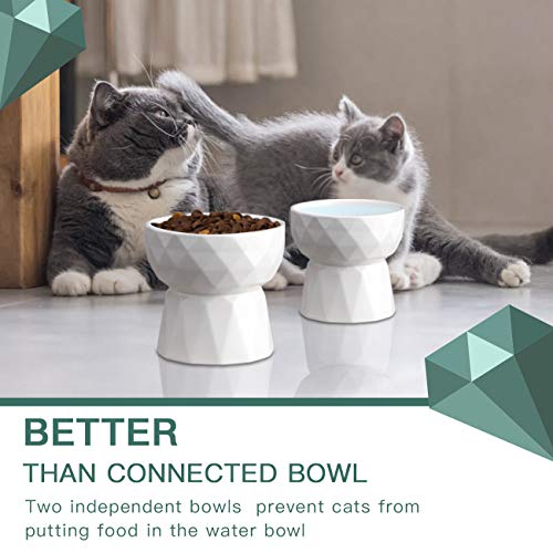 Frewinky Cat Bowls,Ceramic Cat Bowls Anti Vomiting,Raised-Cat Food and Water Bowl Set for Cats and Small Dogs,13.5 Oz