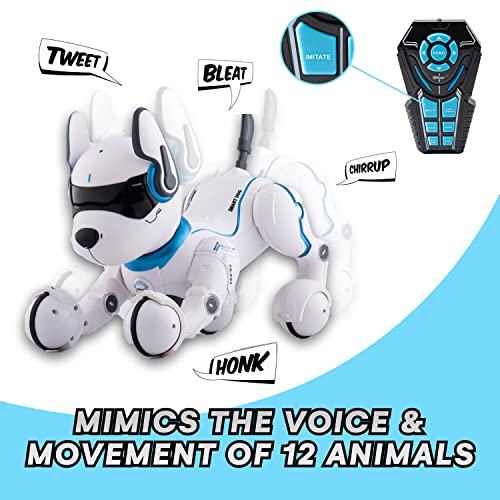 Remote Control Robot Dog Toy with Touch Function and Voice Control, Rc Dog Robots Toys for Kids 3,4,5,6,7,8,9,10 Year Old and up, Smart & Dancing Robot Toy, Imitates Animals Mini Pet Dog Robot