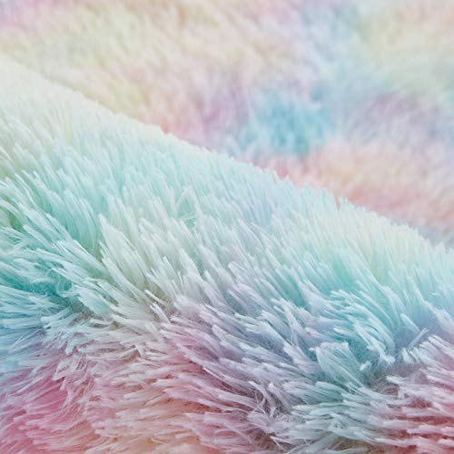 4x6 Rainbow Carpet for Living Room Soft Luxury Bedroom Fluffy Room Area Rug Shaggy Girls Comfy Mat