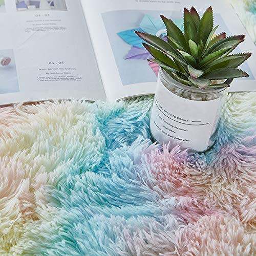 4x6 Rainbow Carpet for Living Room Soft Luxury Bedroom Fluffy Room Area Rug Shaggy Girls Comfy Mat