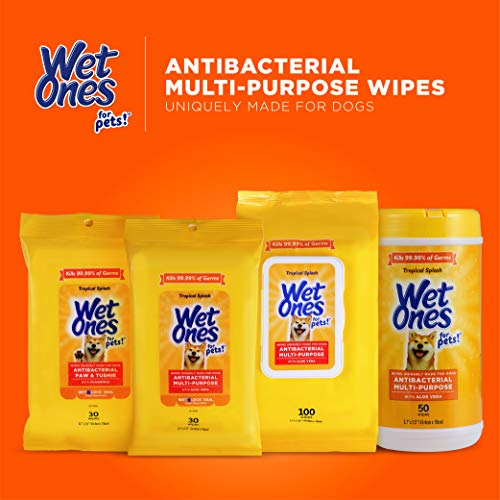 Wet Ones for Pets Multi-Purpose Dog Wipes with Aloe Vera | Dog Wipes for All Dogs in Tropical Splash, Wipes for Paws & All Purpose | 50 Ct Cannister Dog Wipes