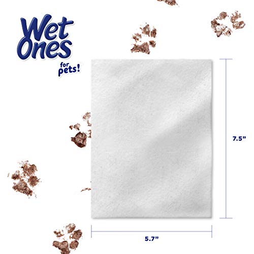 Wet Ones for Pets Multi-Purpose Dog Wipes with Aloe Vera | Dog Wipes for All Dogs in Tropical Splash, Wipes for Paws & All Purpose | 50 Ct Cannister Dog Wipes