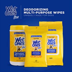 Wet Ones for Pets Deodorizing Multi-Purpose Dog Wipes With Baking Soda | Dog Deodorizing Wipes For All Dogs in Tropical Splash Scent, Wet Ones Wipes for Deodorizing Dogs | 50 Ct Cannister Dog Wipes