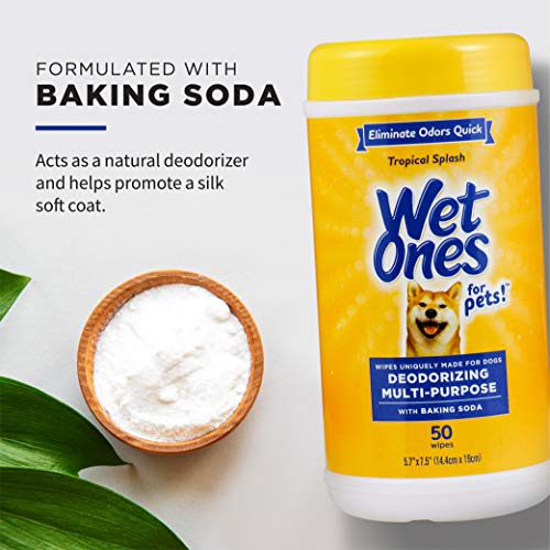 Wet Ones for Pets Deodorizing Multi-Purpose Dog Wipes With Baking Soda | Dog Deodorizing Wipes For All Dogs in Tropical Splash Scent, Wet Ones Wipes for Deodorizing Dogs | 50 Ct Cannister Dog Wipes