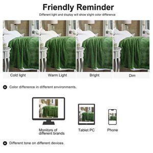 PiccoCasa Fleece Blanket King Size - 350 GSM Soft Warm All Season Flannel Blanket for Couch Sofa Bed Traveling - Fuzzy Lightweight Microfiber Plush Blankets, 90 x 108 Inches, Green