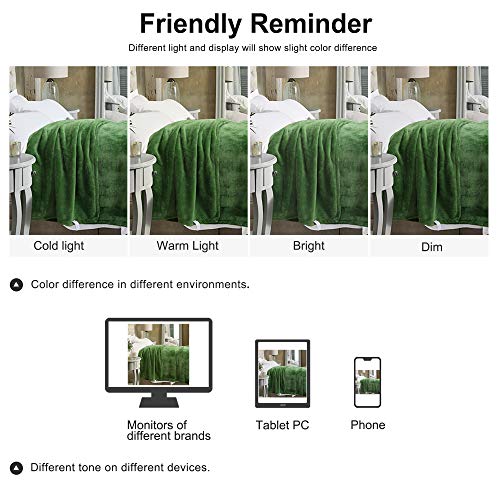 PiccoCasa Fleece Blanket King Size - 350 GSM Soft Warm All Season Flannel Blanket for Couch Sofa Bed Traveling - Fuzzy Lightweight Microfiber Plush Blankets, 90 x 108 Inches, Green