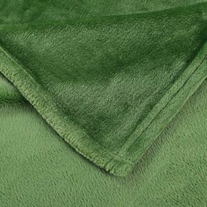 PiccoCasa Fleece Blanket King Size - 350 GSM Soft Warm All Season Flannel Blanket for Couch Sofa Bed Traveling - Fuzzy Lightweight Microfiber Plush Blankets, 90 x 108 Inches, Green