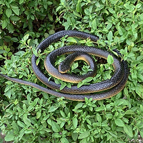 Shyflpopo 11 Pcs Realistic Rubber Snakes Decoration for Garden Props to Scare Birds, Squirrels, Mice, Prank Toys, Theater Props, and Party Favors for Kids