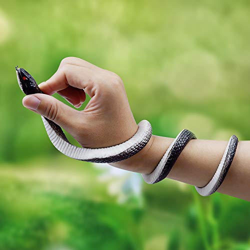 Shyflpopo 11 Pcs Realistic Rubber Snakes Decoration for Garden Props to Scare Birds, Squirrels, Mice, Prank Toys, Theater Props, and Party Favors for Kids