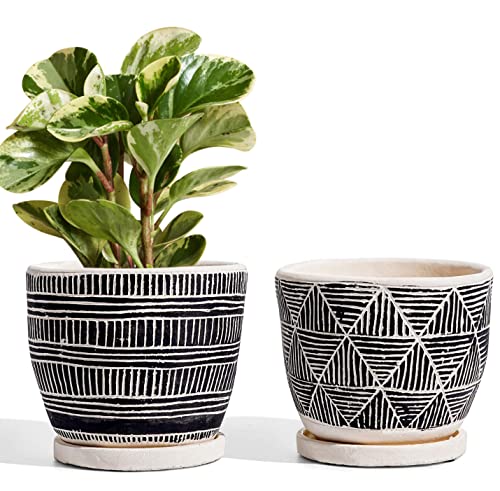 LE TAUCI Cement Planters Pots for Indoor Plants, 5.5 Inch Boho Plant Pots with Drainage Holes & Saucers, Decorative Succulent Pots Indoor, Bonsai Pots, Unglazed, Set of 2