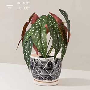 LE TAUCI Cement Planters Pots for Indoor Plants, 5.5 Inch Boho Plant Pots with Drainage Holes & Saucers, Decorative Succulent Pots Indoor, Bonsai Pots, Unglazed, Set of 2