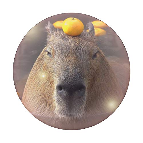 Cute Capybara With Orange on Head PopSockets Grip and Stand for Phones and Tablets