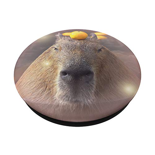 Cute Capybara With Orange on Head PopSockets Grip and Stand for Phones and Tablets