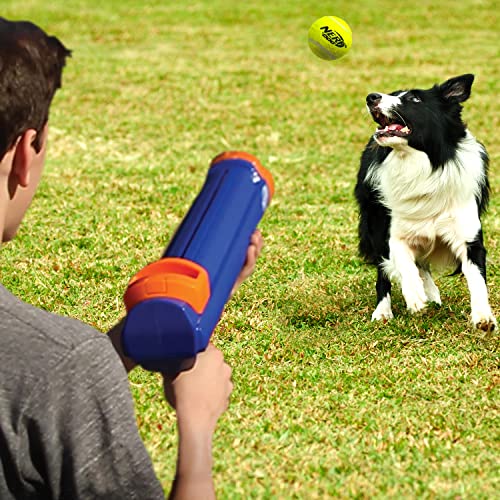 Nerf Dog 12in Blaster w/o Ball Clip 3 2in Squeak Tennis Balls - Opaque Blue/Orange/Gray and Orange and Blue and Green