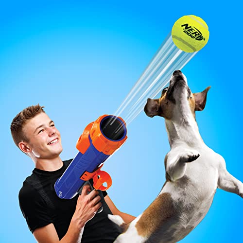 Nerf Dog 12in Blaster w/o Ball Clip 3 2in Squeak Tennis Balls - Opaque Blue/Orange/Gray and Orange and Blue and Green