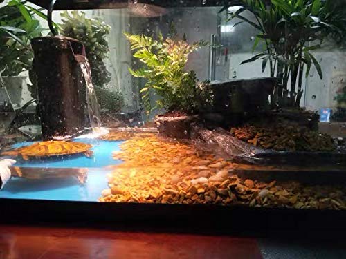 EmmaWu Turtle Filter Small Tank Filter Low Water Level Aquarium Filter Submersible Turtle Reptiles Amphibian Fish Shrimp Frog Crab Tank Filter (200L/H) (Black)