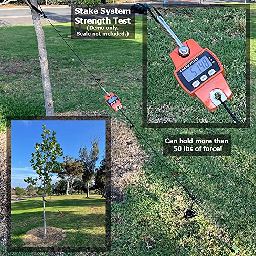 Complete Tree Stake Kit with Stakes, Supports, and Improved Rope - Ideal for Tree Staking, Straightening, and Support