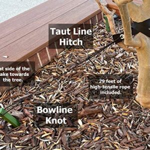 Complete Tree Stake Kit with Stakes, Supports, and Improved Rope - Ideal for Tree Staking, Straightening, and Support