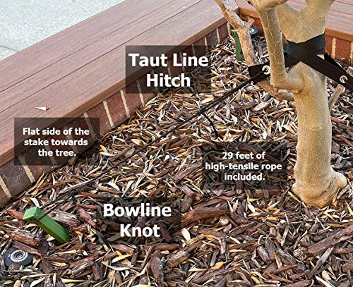 Complete Tree Stake Kit with Stakes, Supports, and Improved Rope - Ideal for Tree Staking, Straightening, and Support