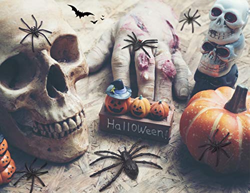 Realistic Plastic Spider Toys Halloween Decorations Fake Spider Toys for Kids 50pcs