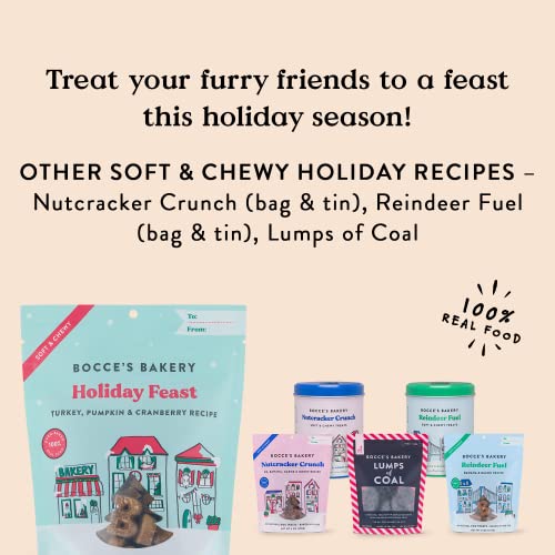 Bocce's Bakery Holiday Feast Recipe Treats for Dogs, Wheat-Free Everyday Dog Treats, Made with Real Ingredients, Baked in The USA, All-Natural Soft & Chewy Cookies, Turkey, Pumpkin & Cranberry, 6 oz