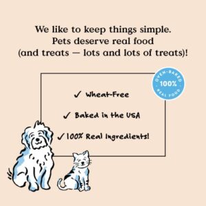 Bocce's Bakery Holiday Feast Recipe Treats for Dogs, Wheat-Free Everyday Dog Treats, Made with Real Ingredients, Baked in The USA, All-Natural Soft & Chewy Cookies, Turkey, Pumpkin & Cranberry, 6 oz