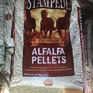 Stampede Alfalfa Pellets, Non-GMO - Perfect for Rabbits, Goats, Equine, and More! (40 lb)