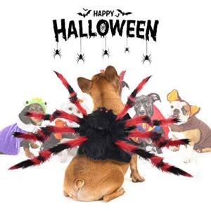 Yoochee Halloween Dog Spider Costumes - Pet Costume Spider Halloween Pet Cosplay Dog Cat Costumes Apparel for Medium Small Dogs Cats (Medium, Red & Black)